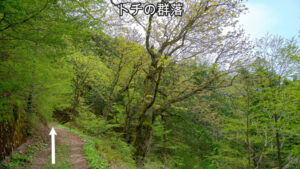 中山道：鳥居峠ハイキング（奈良井駅⇔薮原駅）徒歩ルート案内 - otakajo.com